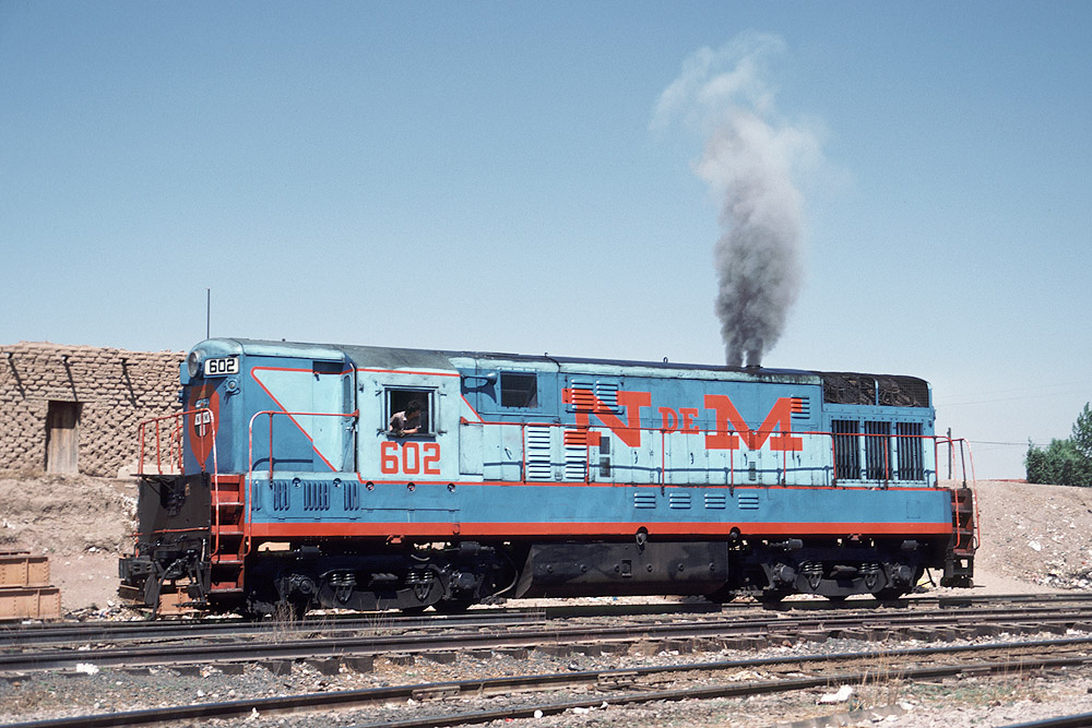 Chihuahua del Pacifico profile